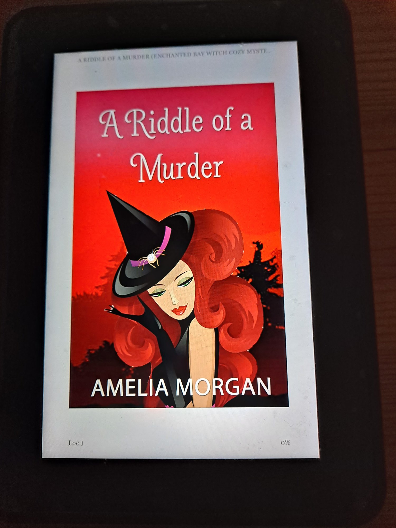 A Riddle Of A Murder - Solve The Murder